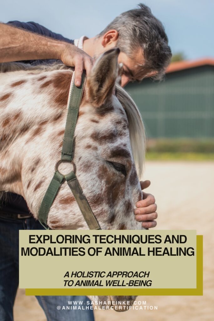 Business PracticeS for Animal Healers: Essential Strategies for Success ...