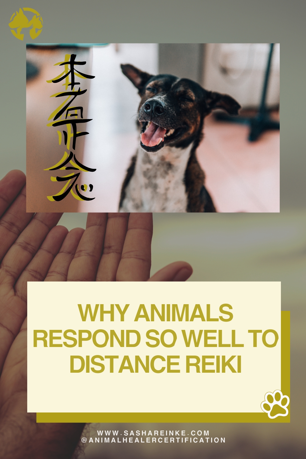 Why Animals Respond So Well to Distance Reiki - Work With Animals ...