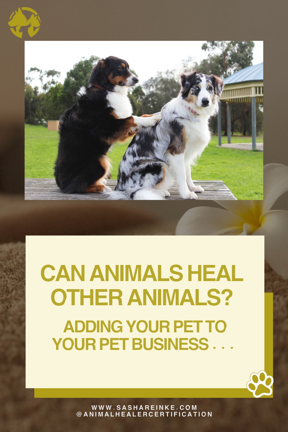 How Animals Can Heal Other Animals: The Power of Natural Care ...