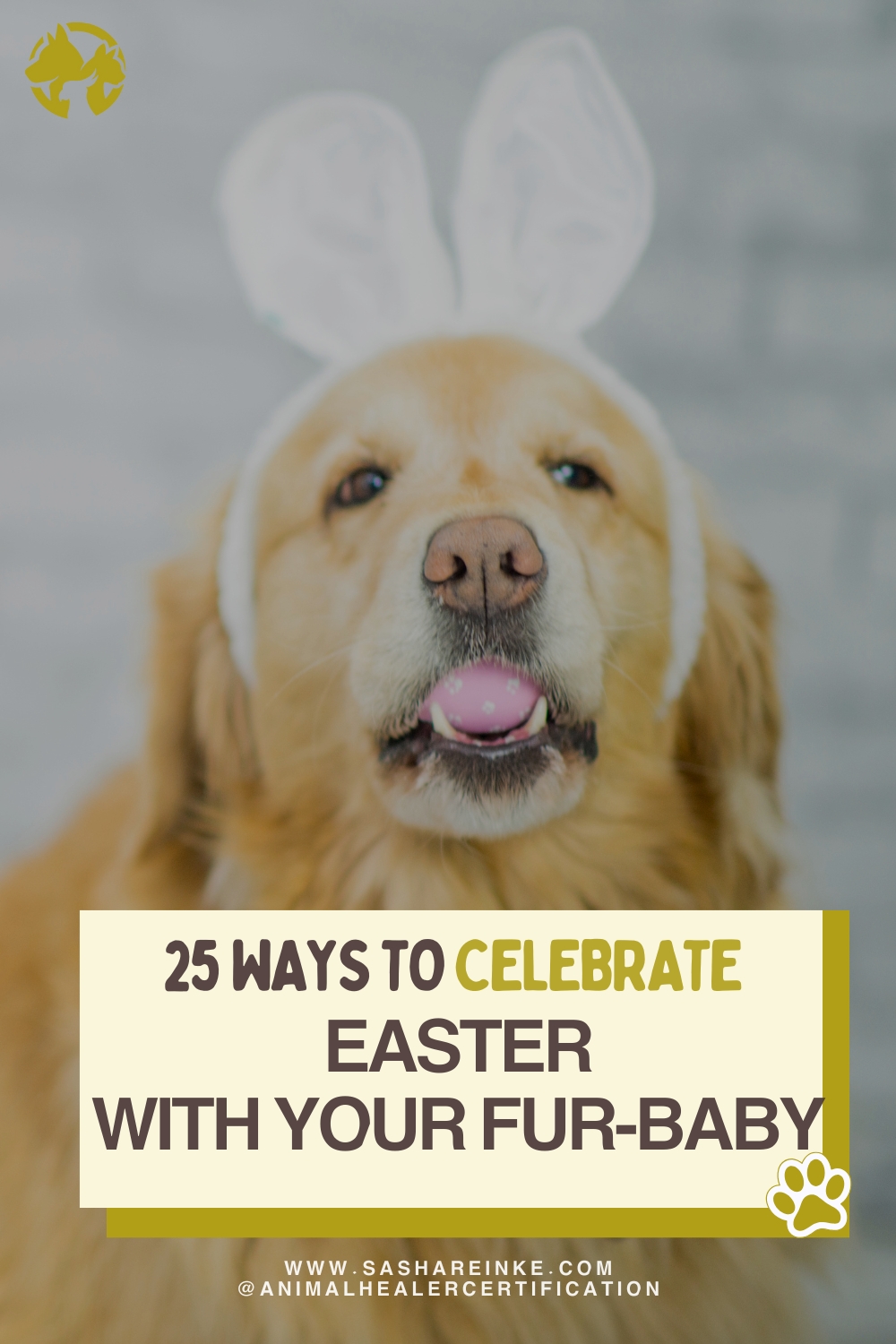 25 Ways to Celebrate Easter With Your Pet - Work With Animals: Sasha ...